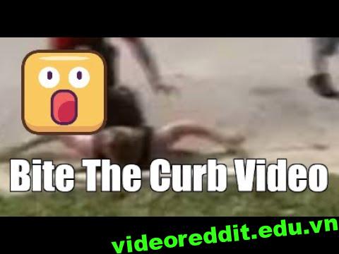 biting the curb video - Video Reddit Trend