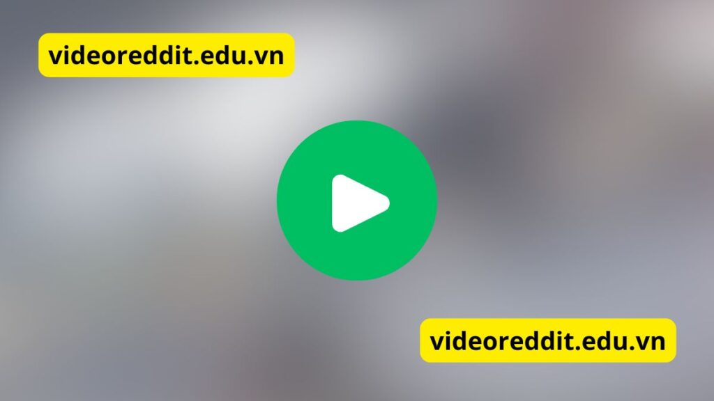 NXTWP: Revolutionizing the Web in 2024 - Video Reddit Trend
